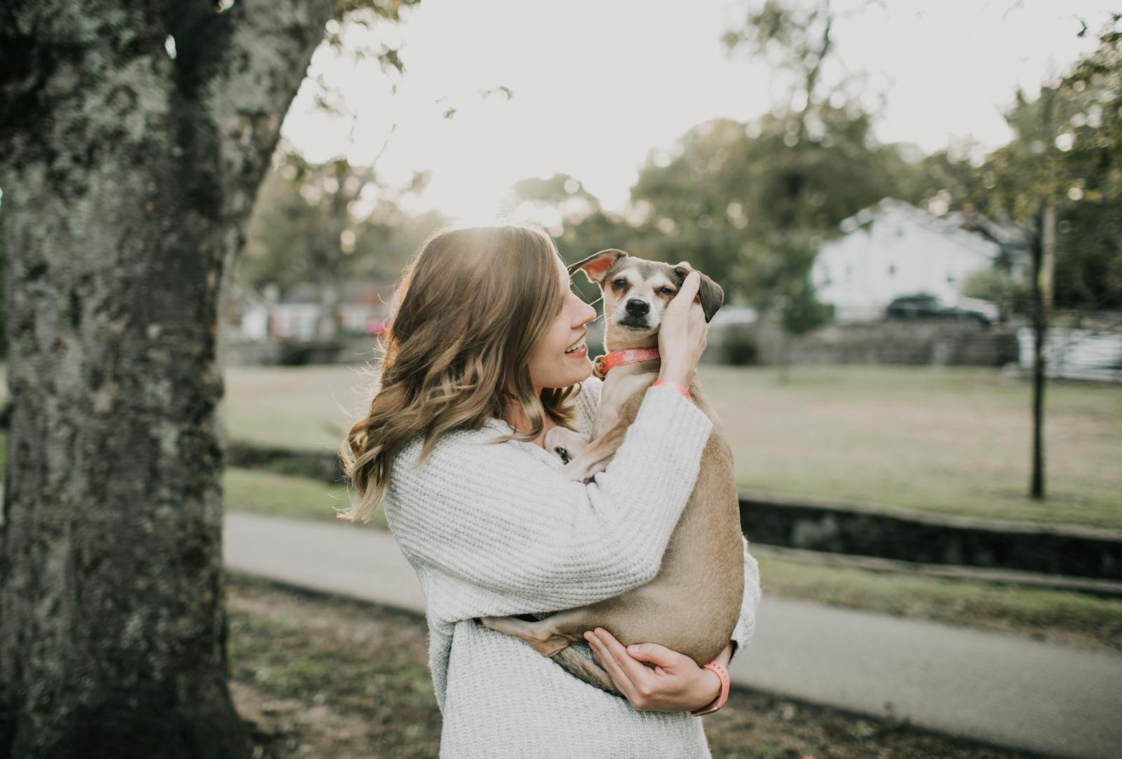 Caregivers’ Hub - BrightHaven | Animal Rescue, Hospice & Holistic Education